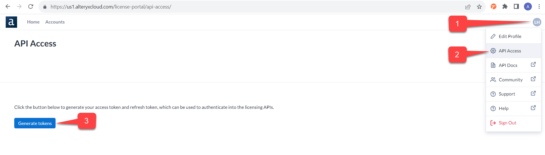 Generating License Portal API Token